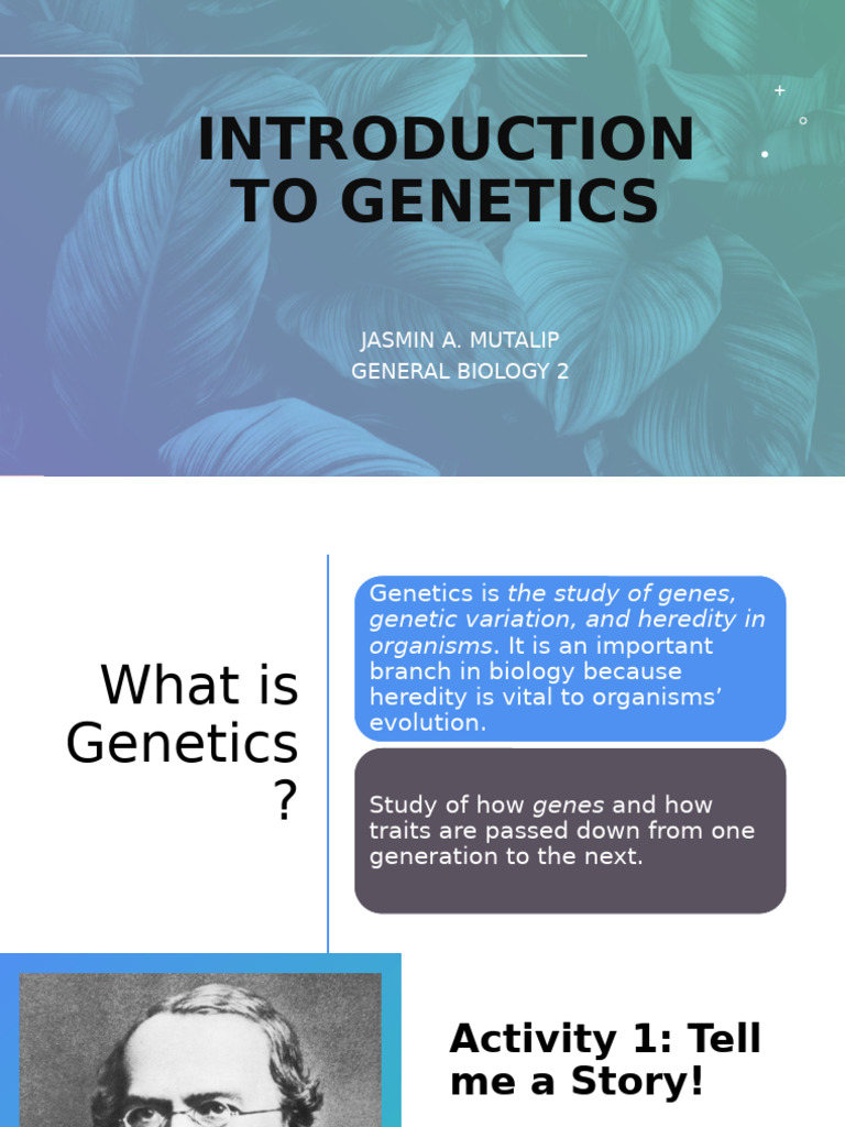 Introduction To Genetics | PDF | Dominance (Genetics) | Heredity