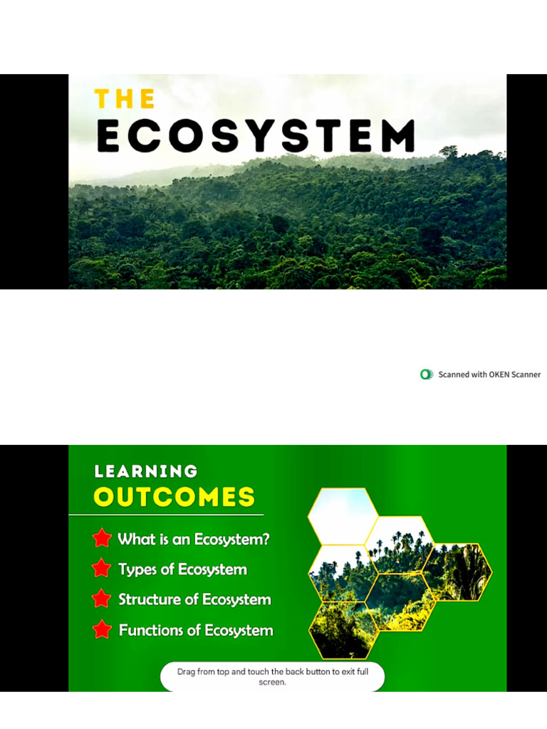 Ecosystem, Types, Function and Structure of Ecosystem | PDF