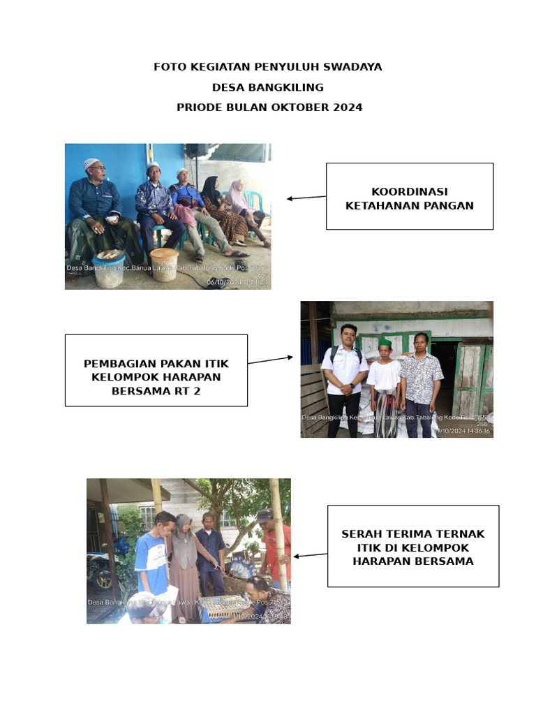 Kegiatan Penyuluhan Pangan Desa Bangkiling | PDF