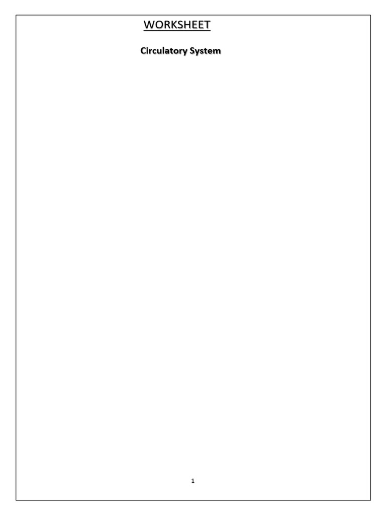 Circulatory System Worksheet | PDF | Heart | Atrium (Heart)