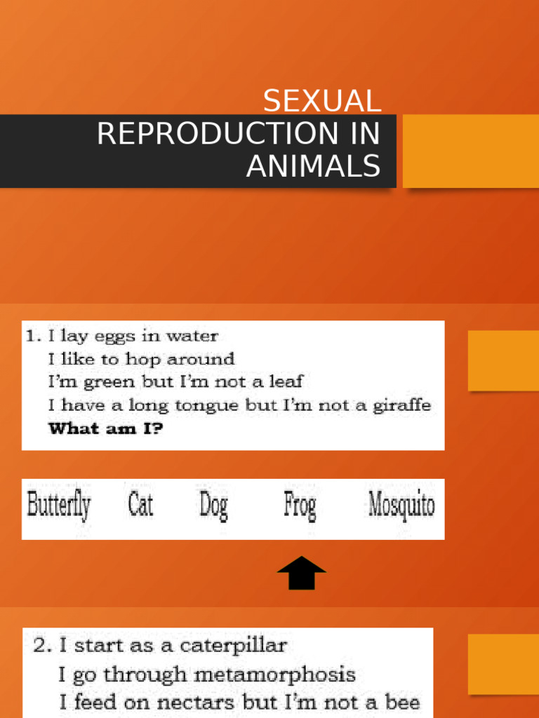 Sexual Reproduction in Animals Explained | PDF