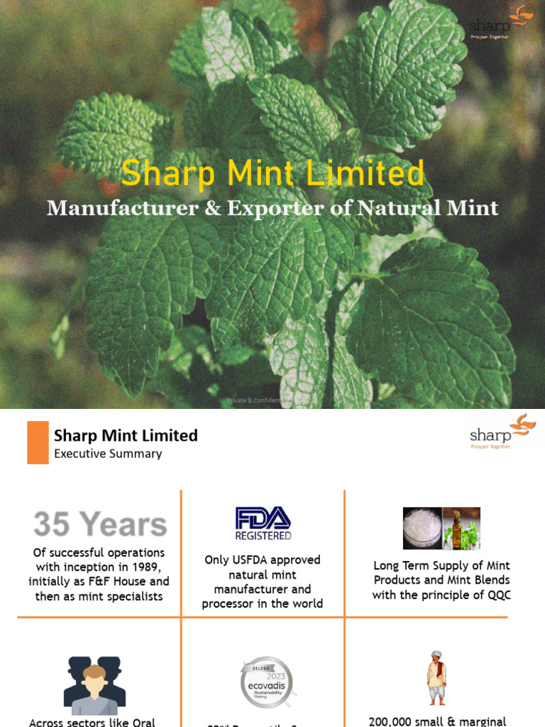 USFDA Approved Natural Mint Manufacturer | PDF | Mentha