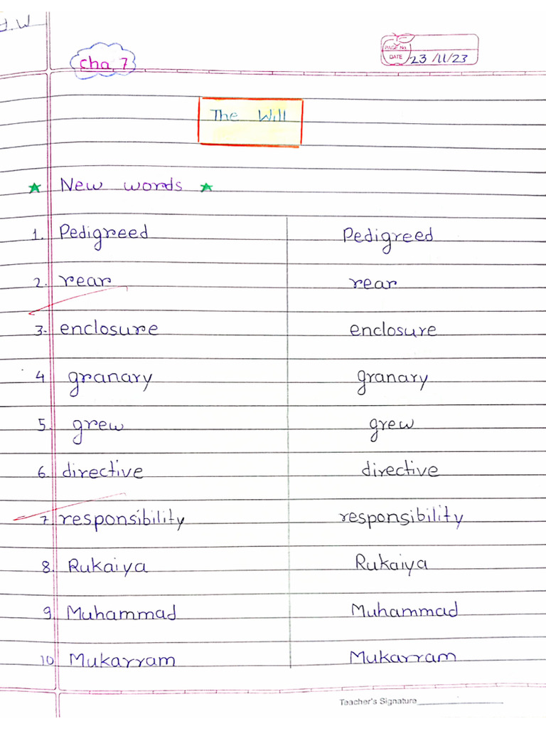 English PT3 | PDF