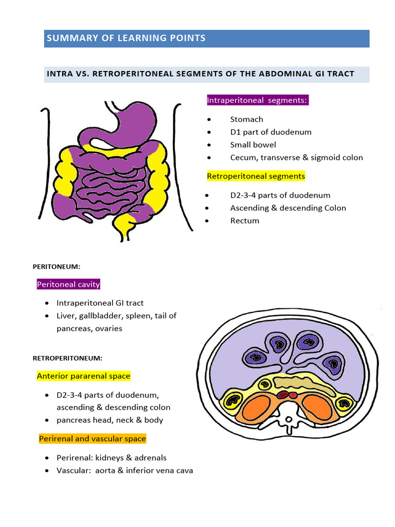 GI_tract | PDF | Esophagus | Gastrointestinal Tract
