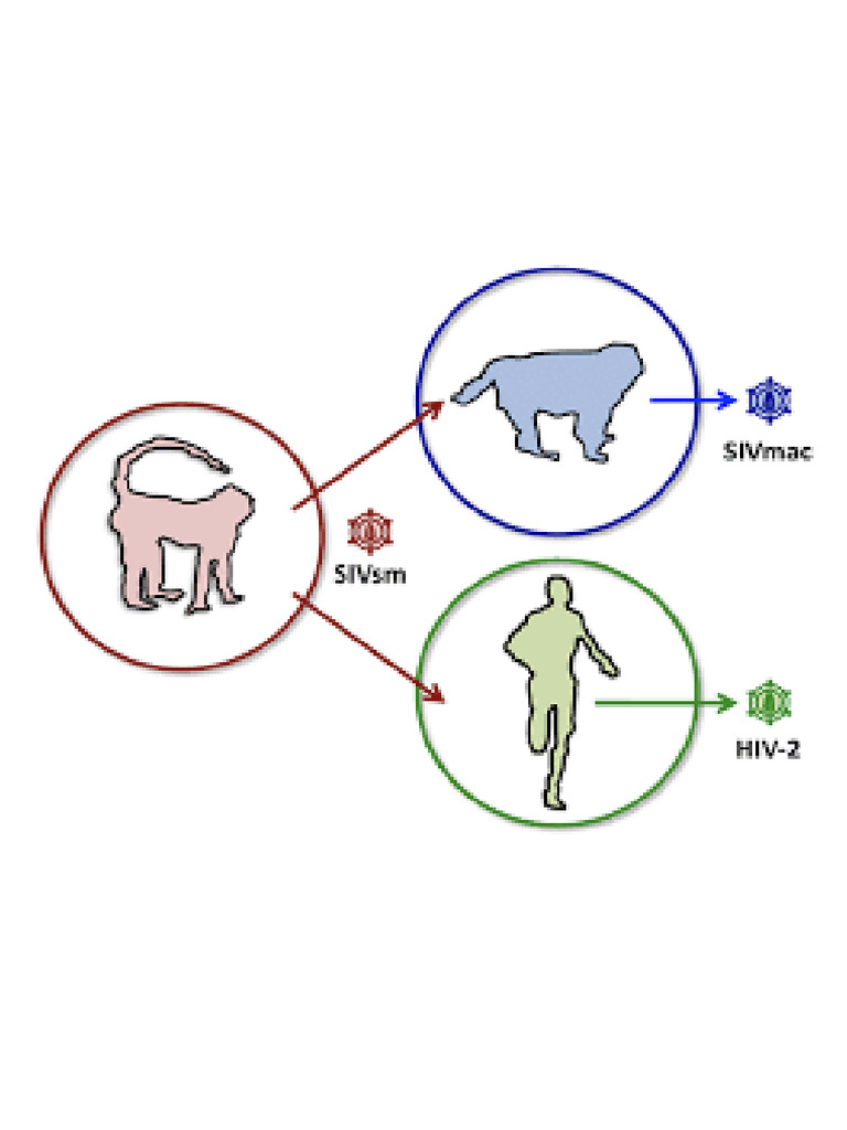 PDFGallery_20250210_162743 | PDF