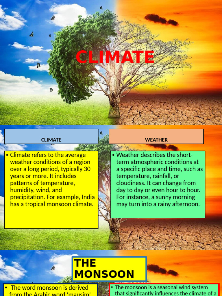 Climate Overview of India | PDF | Monsoon | Rain