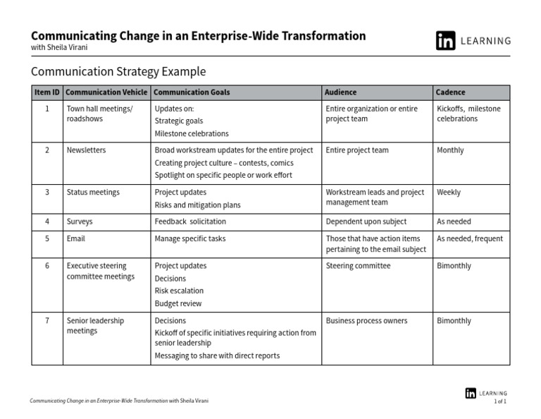 Communication Strategy Example | PDF | Business | Communication