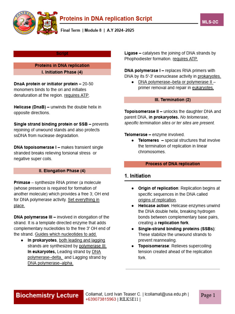 DNA Replication Script BIOCHEM Lec | PDF | Dna Replication | Primer (Molecular Biology)
