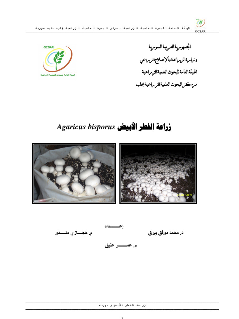Agaricus Bisporus | PDF