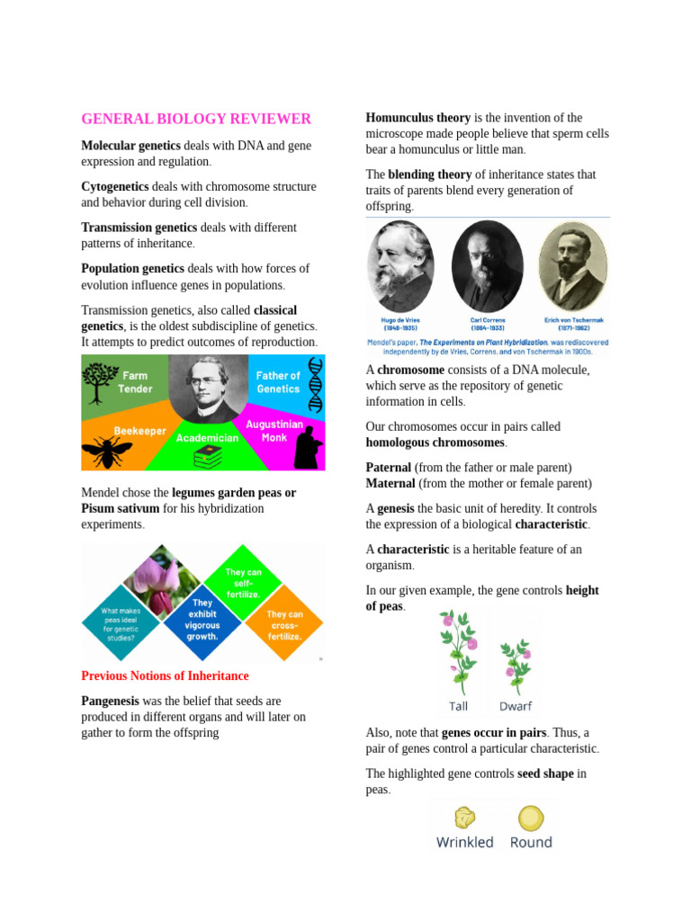 General Biology Reviewer 2ND Semester 1 | PDF | Dominance (Genetics) | Genetics