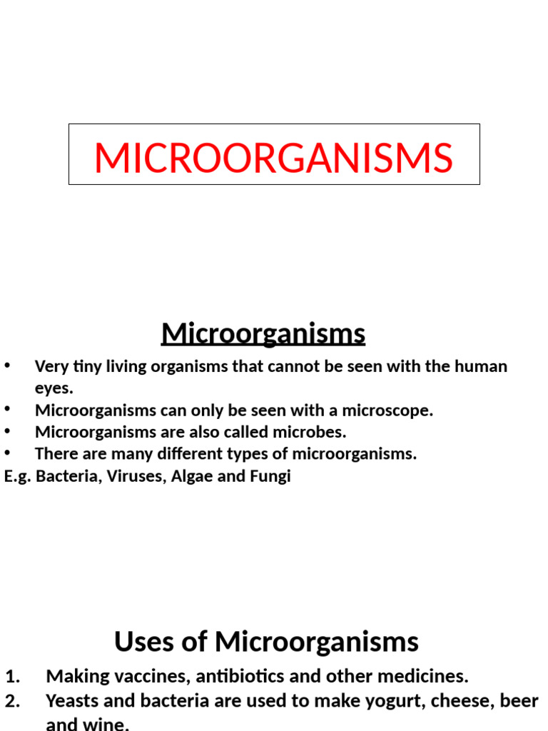 Checkpoint Notes Part 2 | PDF | Flowers | Pollination