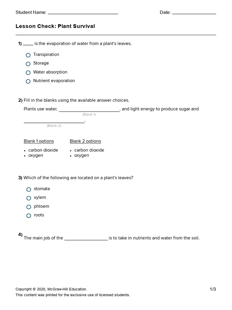 Lesson Check Plant Survival | PDF | Plants | Plant Stem