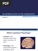 Chapter 1 The Human Body | PDF | Human Body | Blood