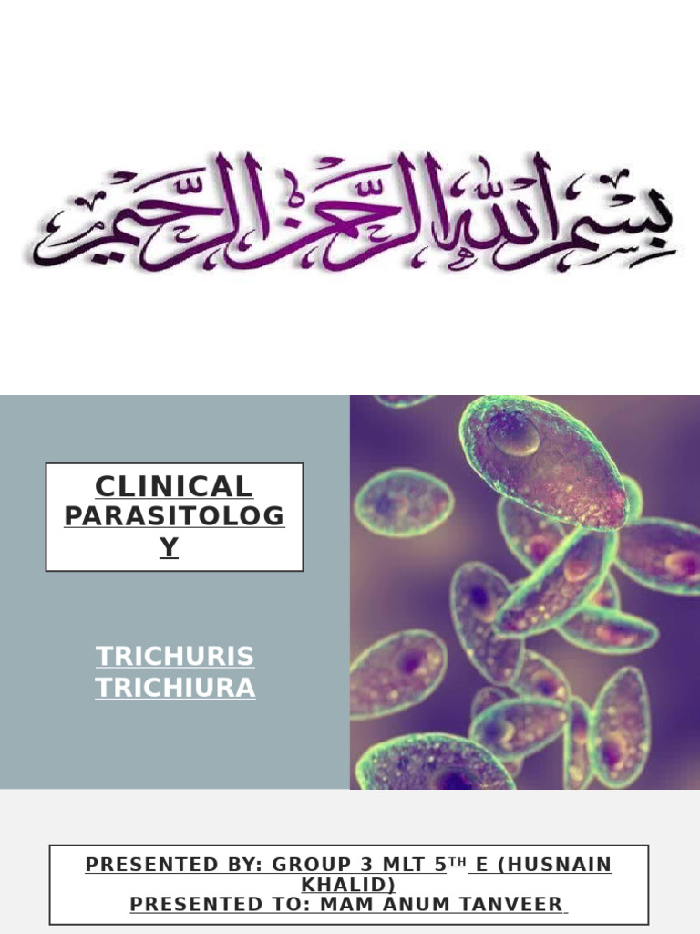 Trichuris Trichuria | PDF | Medical Specialties | Microbiology