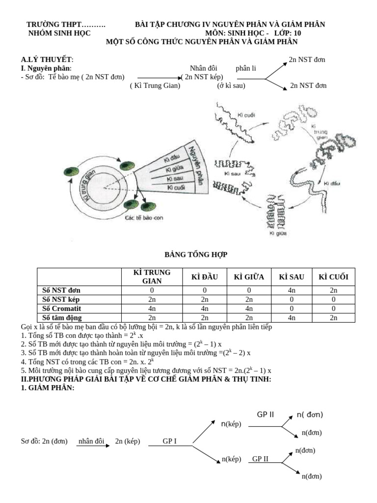 Bài Tập Np - Gp l1 (New) | PDF