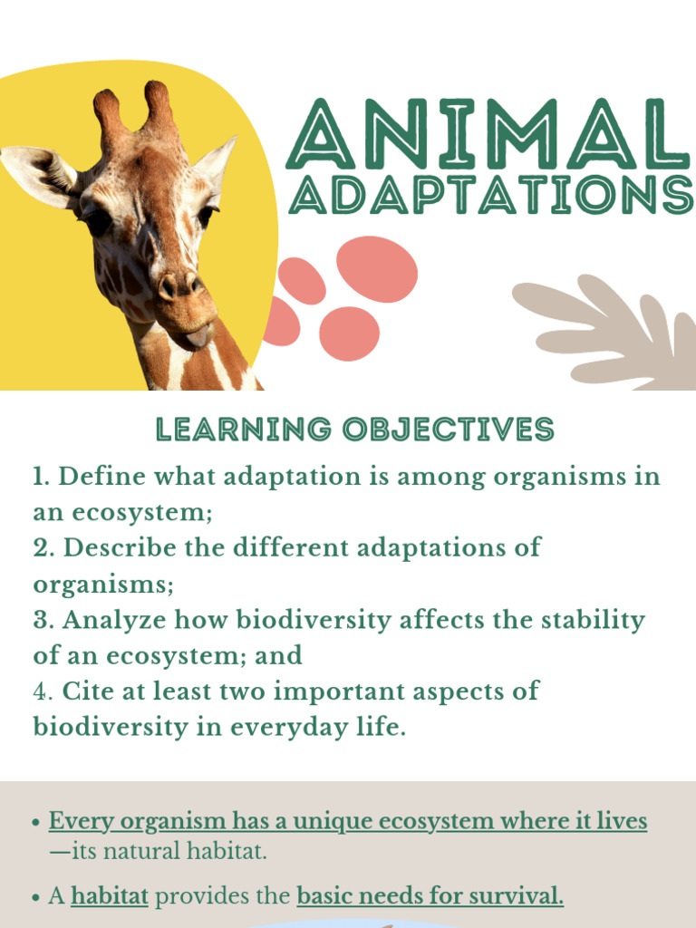Understanding Animal Adaptations | PDF | Mimicry | Predation