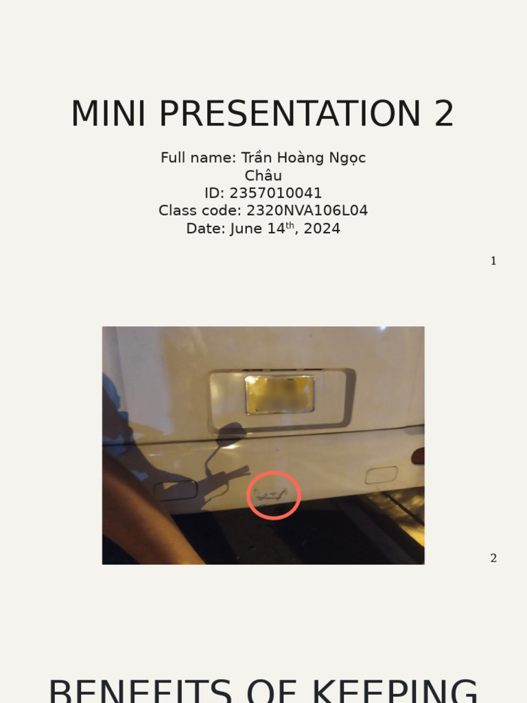 Mini Presentation 2 | PDF