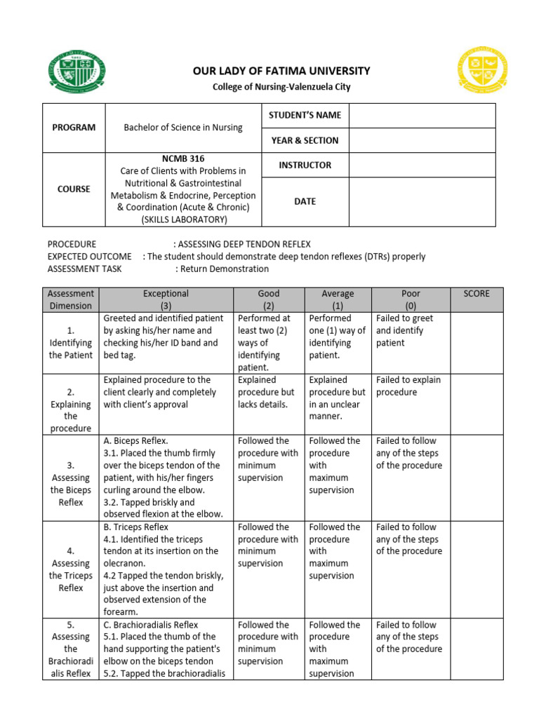 Deep Tendon Reflex Assessment Guide | PDF | Anatomical Terms Of Motion ...