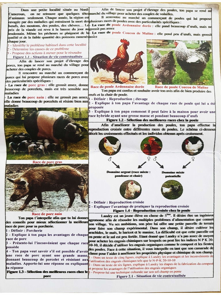 Planches 5ème.. Any Scanner - 09 - 09 - 2022 | PDF