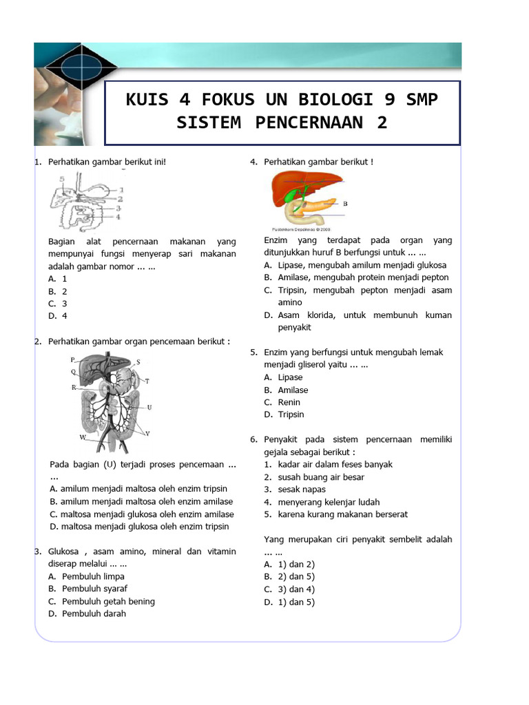 Kuis 4 Fokus Un Biologi 9 SMP | PDF