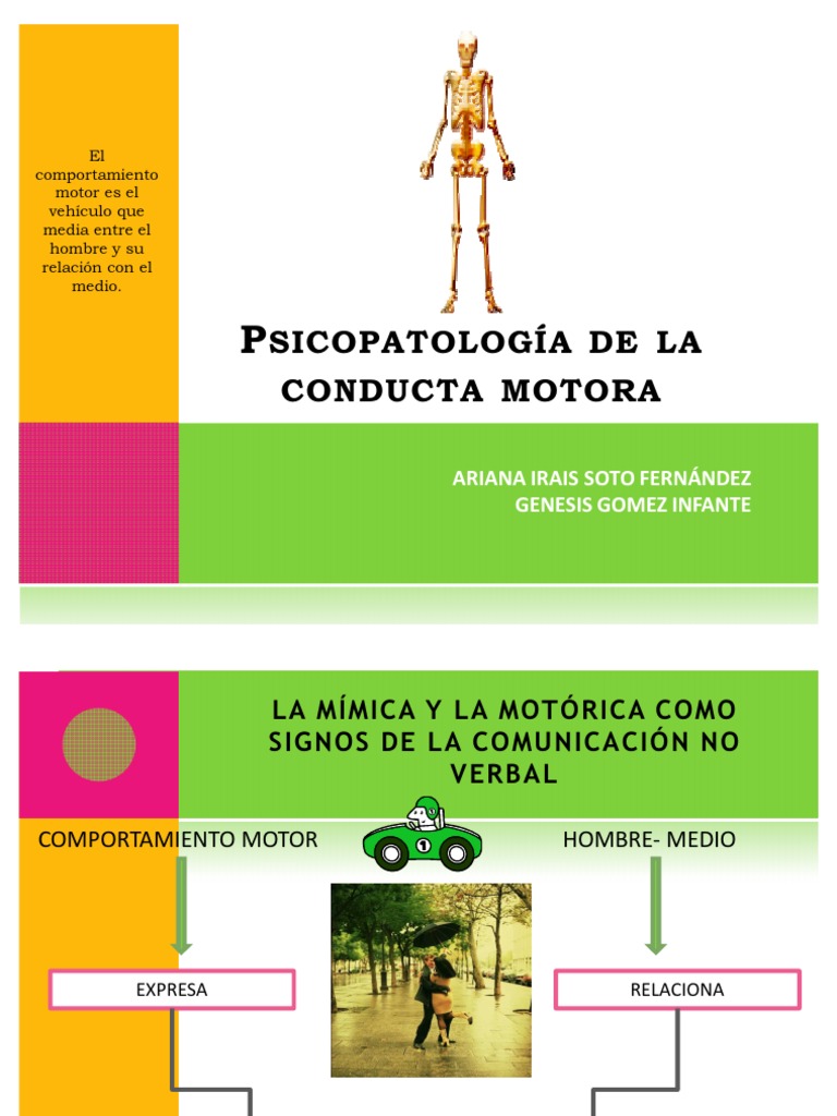 Comportamiento Motor y Conducta Motriz | PDF | Relaciones personales ...