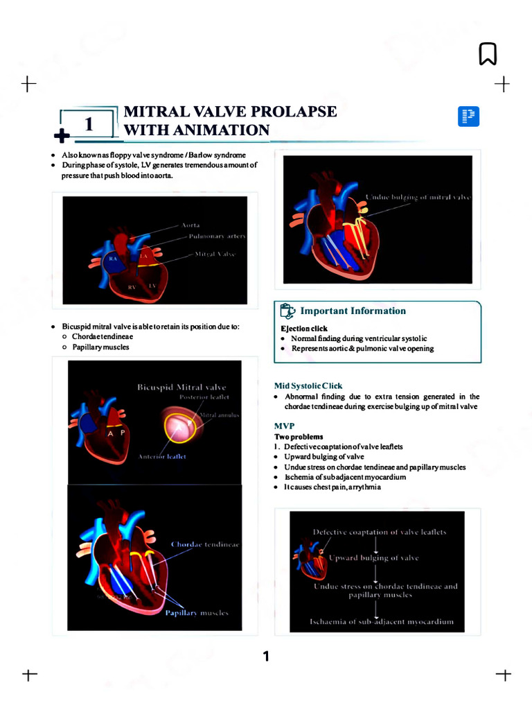 Mitral Valve Prolapse Overview and Treatment | PDF | Heart Valve ...