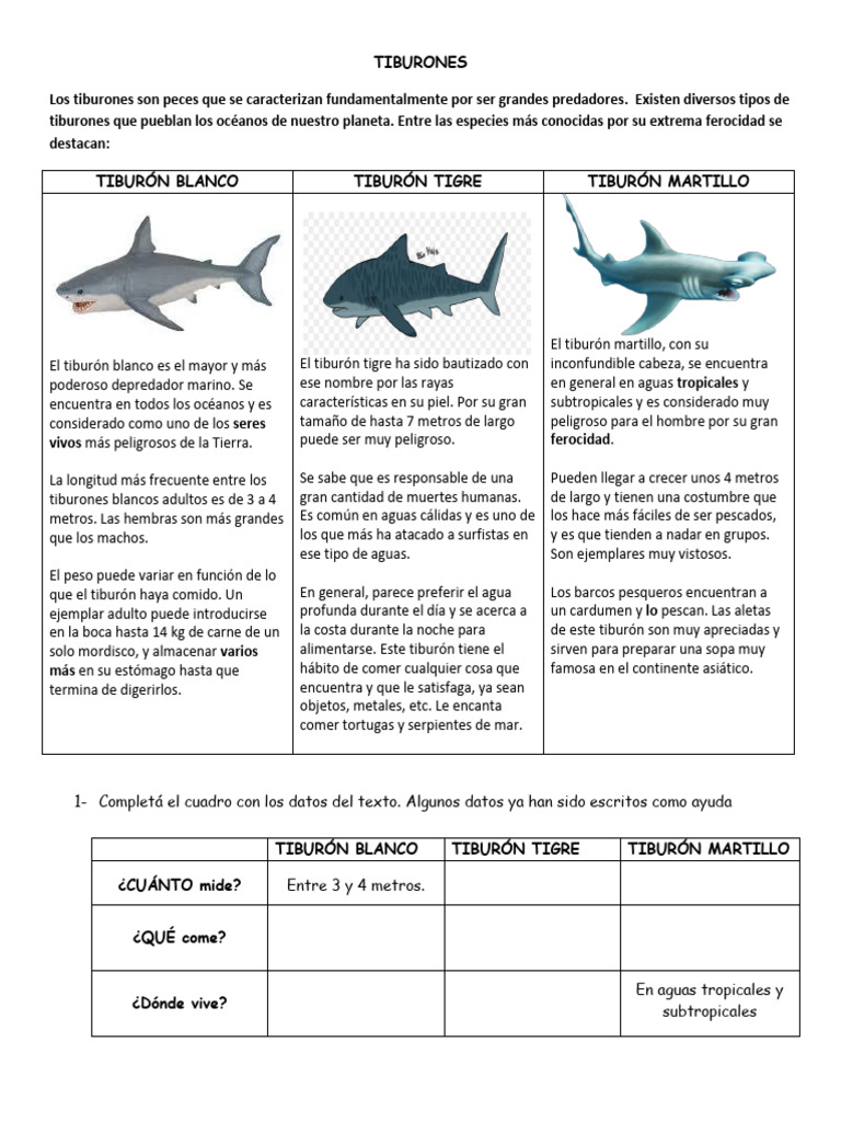 Tipos de tiburones y sus características | PDF | Tiburones | Gran ...