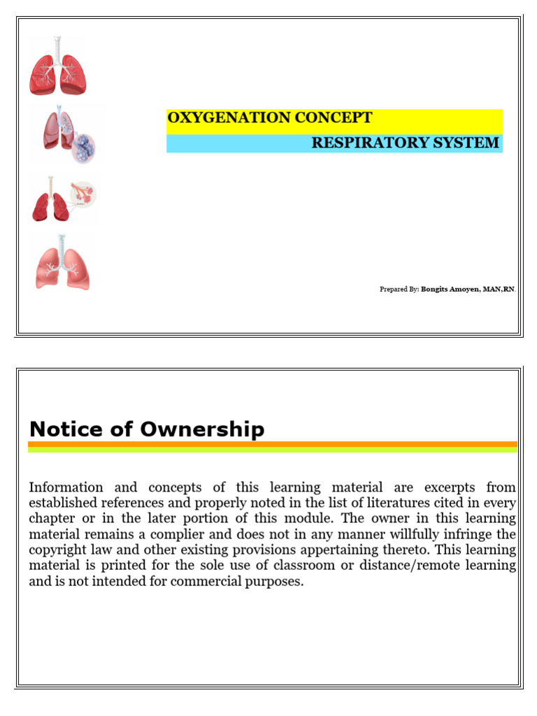 Respiratory System | PDF | Respiratory Tract | Lung