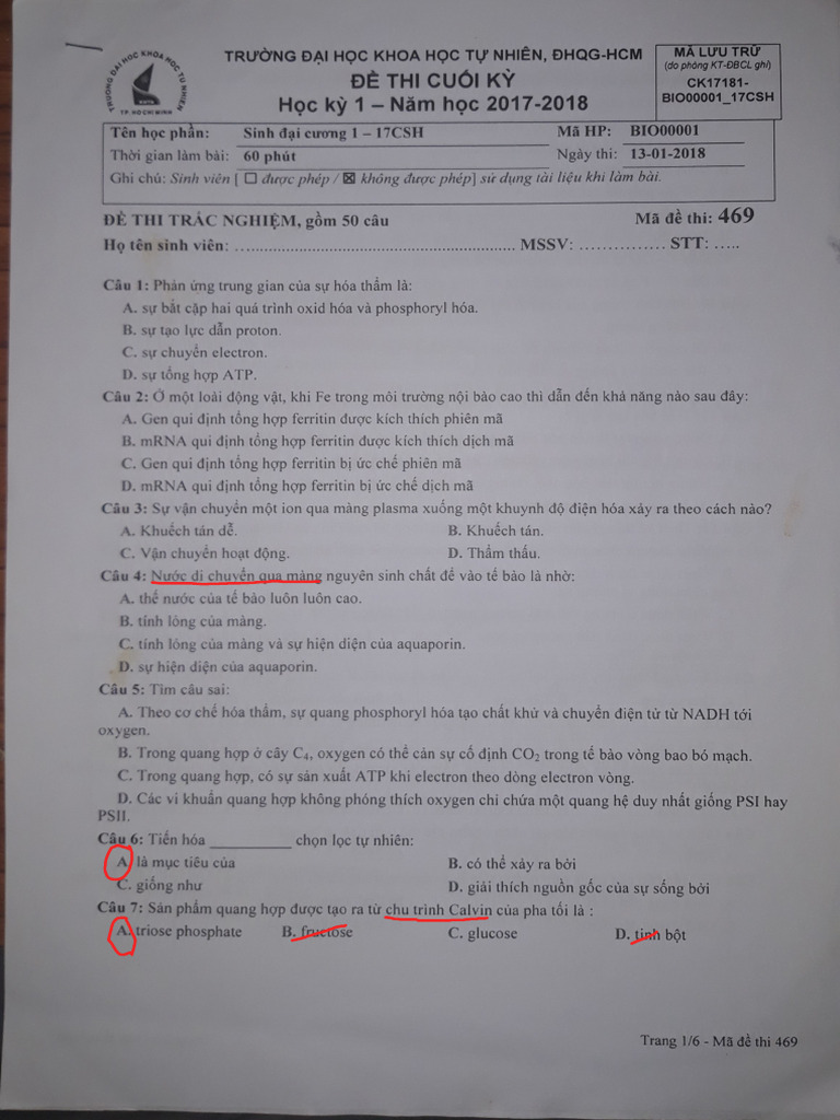 Cuu Duong Than Cong Resources Online | PDF
