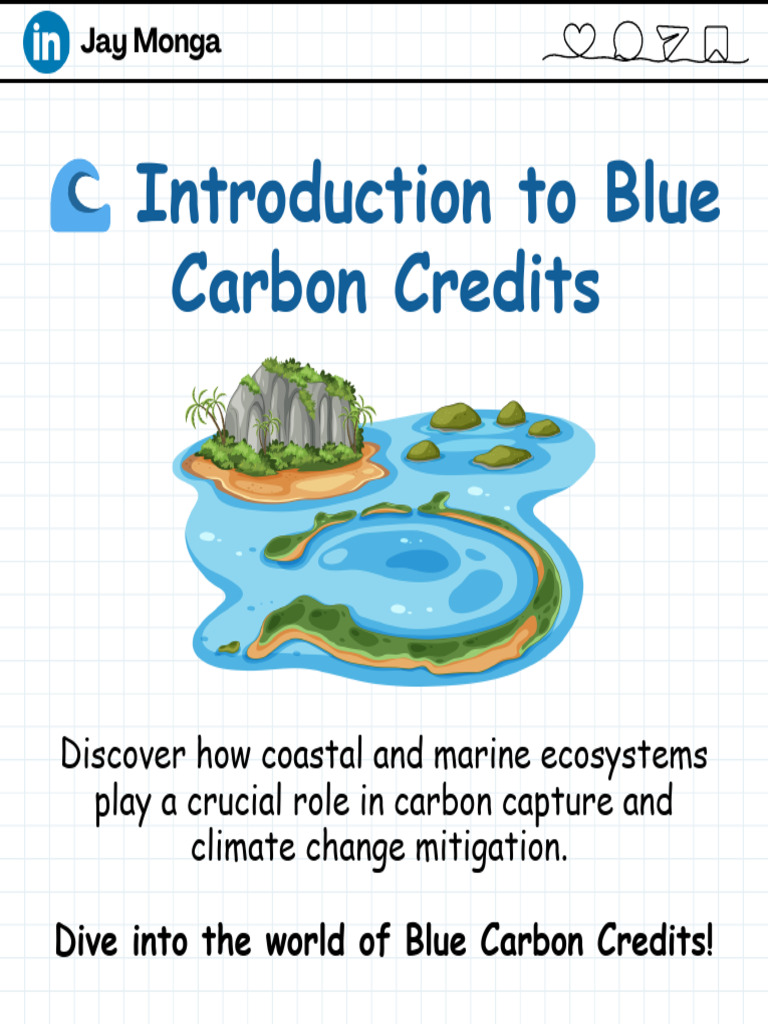 Blue Carbon Credits | PDF
