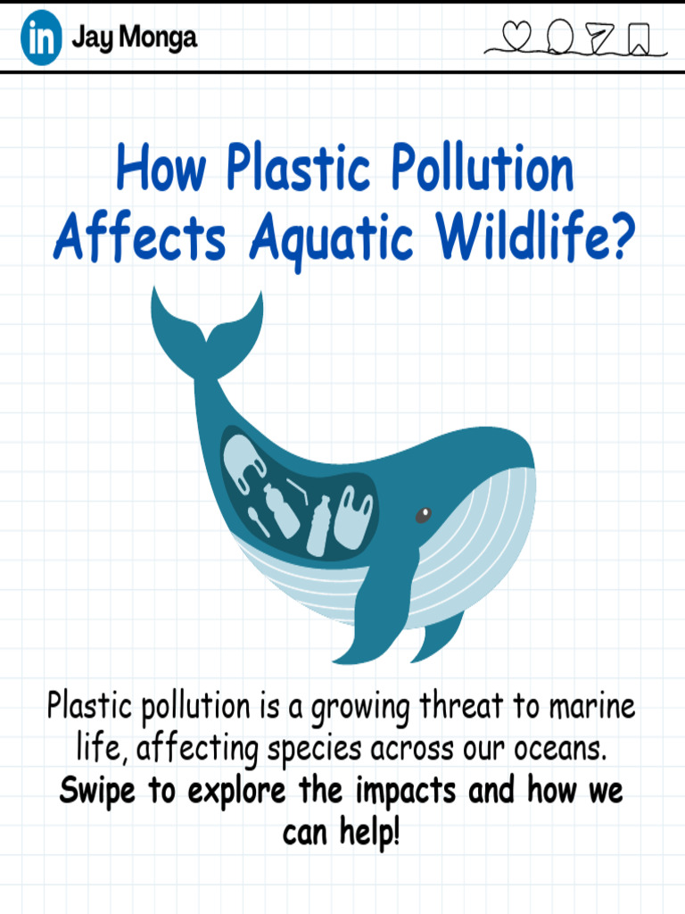How Plastic Pollution Affects Aquatic Wildlife | PDF