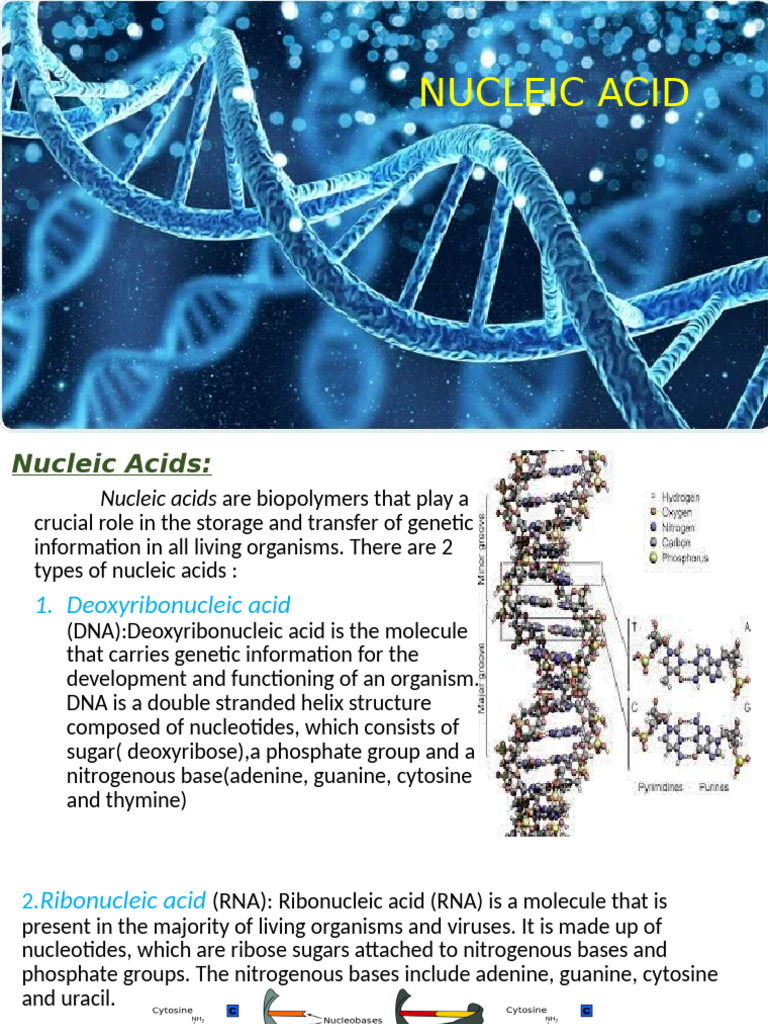 Nuclic Acid | PDF | Nucleic Acids | Vaccines