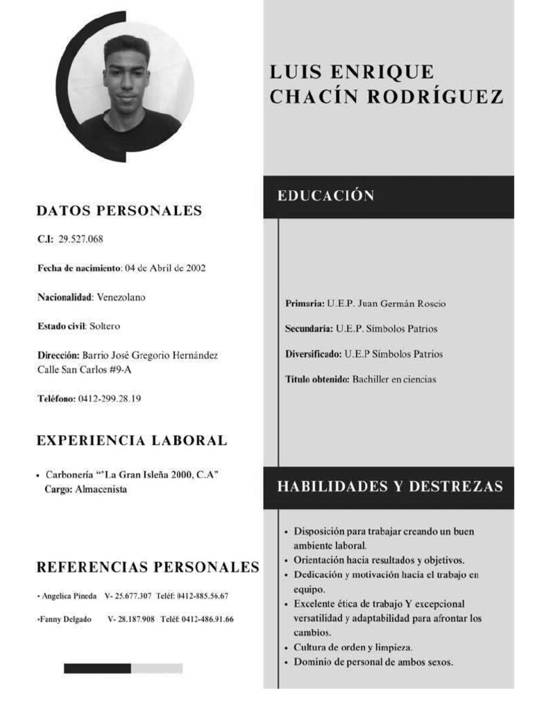 CV Luis Enrique | PDF