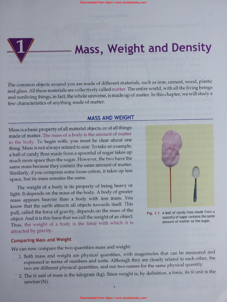 ICSE Class 7 Physics Chapter 01 Mass Weight and Density | PDF