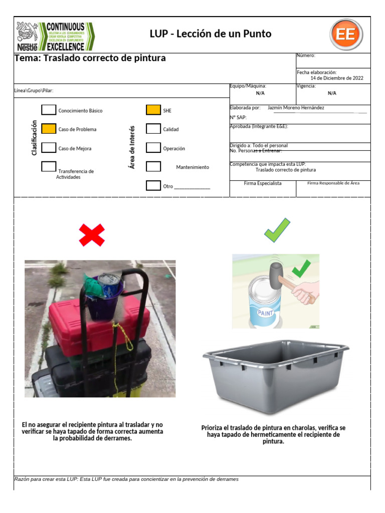 Formato LUP - Traslado correcto de pintura | PDF