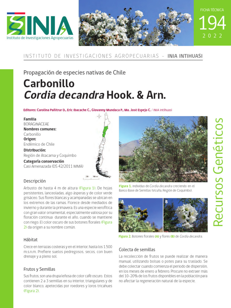 Propagación de Carbonillo en Chile | PDF | Semilla | Plantas