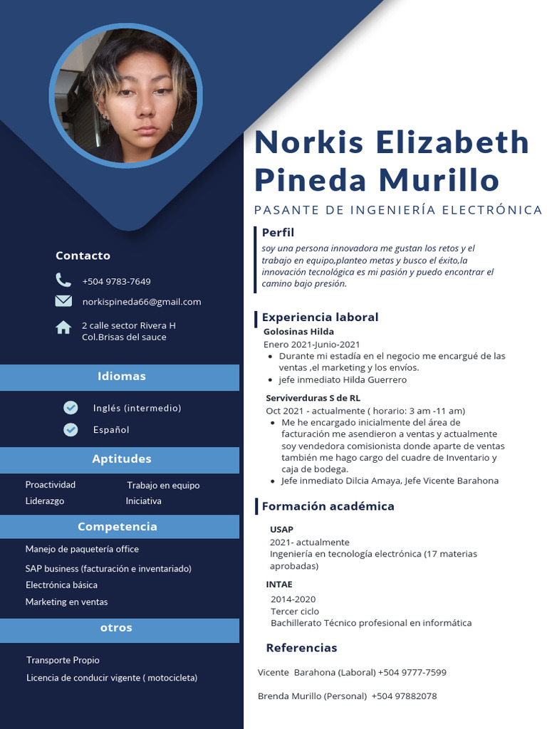 Norkis Pineda CV | PDF | Ingeniería | Business