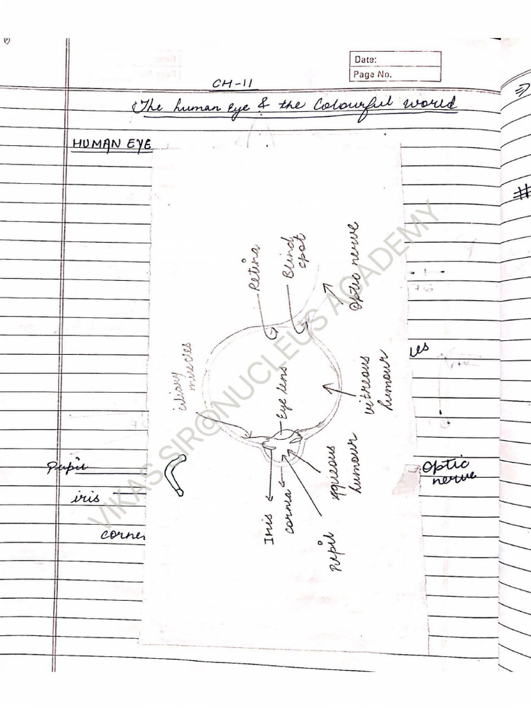 Human Eye CW Notes Class 10 by Nucleus Academy | PDF