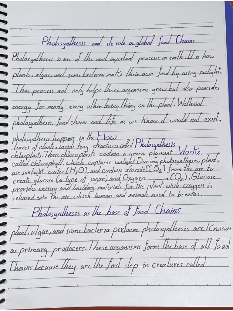 Essay of Photosynthesis in Global Food Chains | PDF