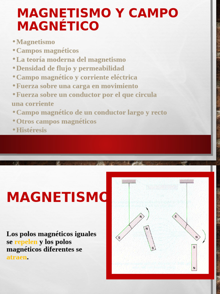 Campos Magnéticos | PDF | Campo magnético | Magnetismo