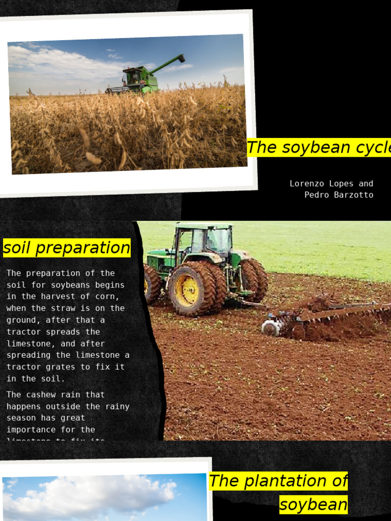 The Soybean Cycle | PDF