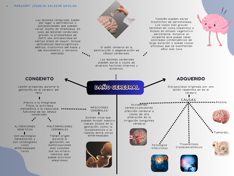 Mapa Mental Sobre El Daño Al Cerebro Pdf Sistema Nervioso Medicina