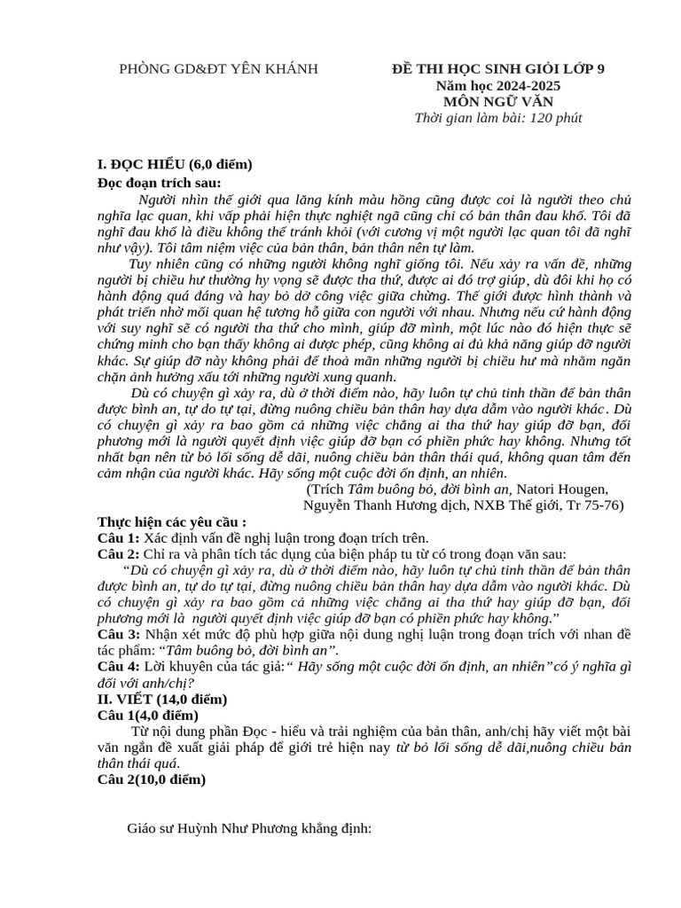 Nguvan - HSG9-2024 - DE | PDF