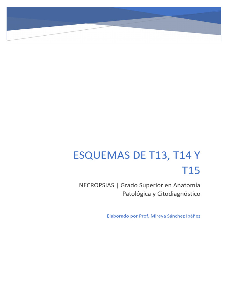 Esquemas de T13, T14 y T15 | PDF | Anatomía