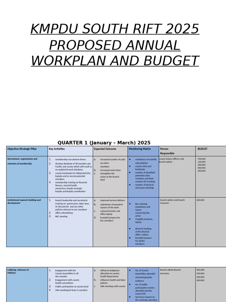 SOUTHRIFT 2025 PROPOSED ANNUAL WORK PLAN AND BUDGET | PDF