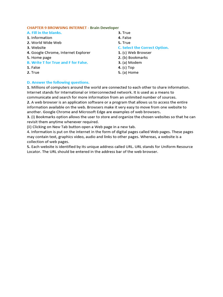 Understanding Internet Browsing Basics | PDF