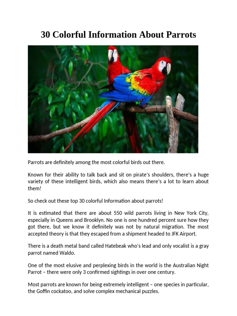 30 Colorful Information About Parrots | PDF | Parrot | Ornithology