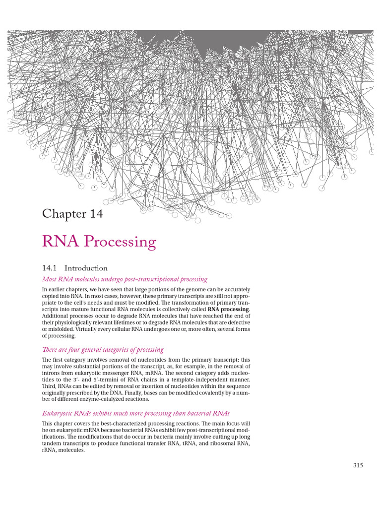 Chapter 14 RNA Processing | PDF | Messenger Rna | Rna Splicing