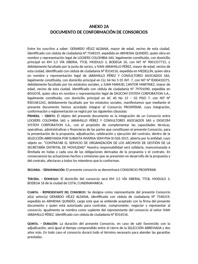 Anexo 2a Documento de Conformación de Consorcios | PDF