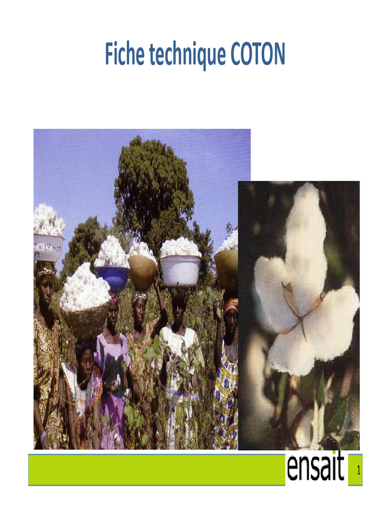 Fiche technique sur le coton | PDF | Coton | Les textiles